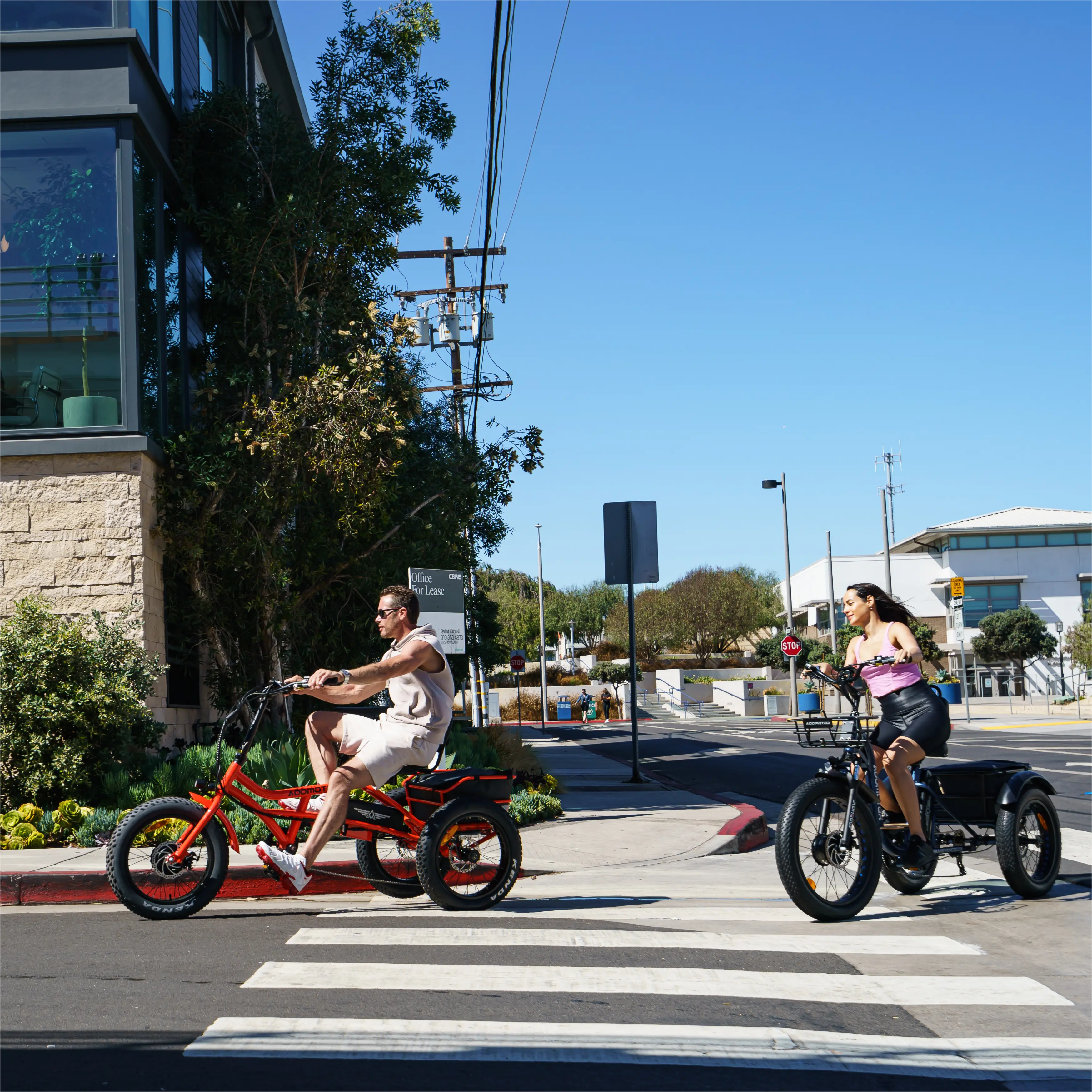 Electric Tricycle for Adults with Disabilities