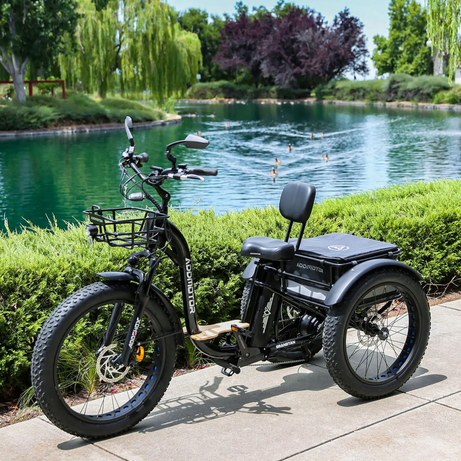 The Ultimate Guide to the Best Electric Trikes for Seniors in 2026: A ...